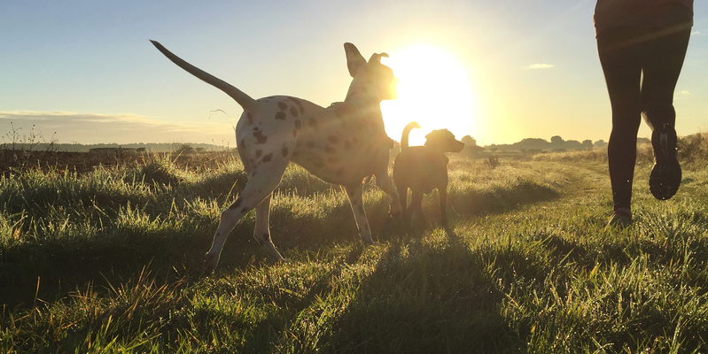 Latham Advises Invetx in its Million Series B Financing