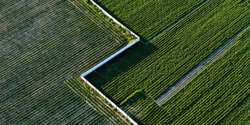 EBA Publishes Final Guidelines on the Management of ESG Risks