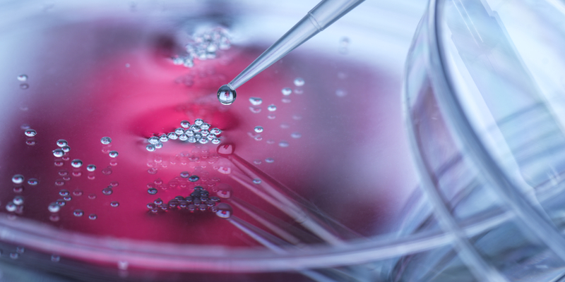 FDA and NIH Announce Initiatives to Reduce Animal Testing and Encourage ...