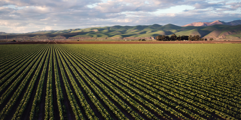 Latham Watkins Advises Apterra on Financing of Acquisition of 49 ...