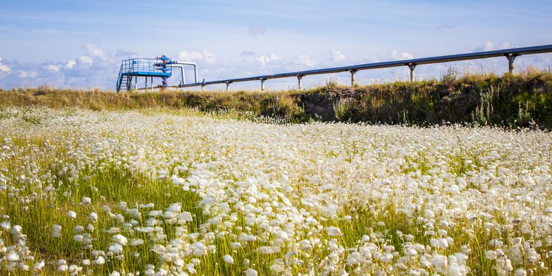 Latham Advises WhiteHawk Energy on Acquisition of Haynesville Assets